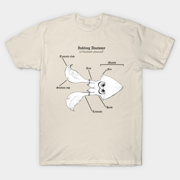 Inkling Anatomy Anatomical Charts And Posters